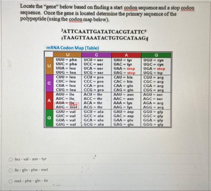 Solved Locate the “gene" below based on finding a start | Chegg.com