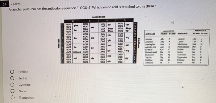 Solved 14 2 points An uncharged tRNA has the anticodon | Chegg.com