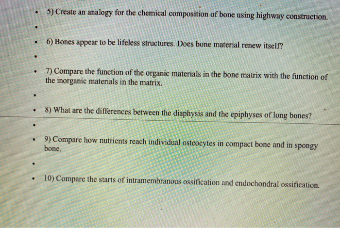 Solved The Axial Skeleton The Skull 1. First, match the bone | Chegg.com
