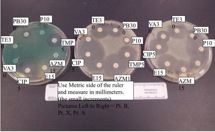 Solved s = sensitive, 1 = intermediate, R= resistant. | Chegg.com