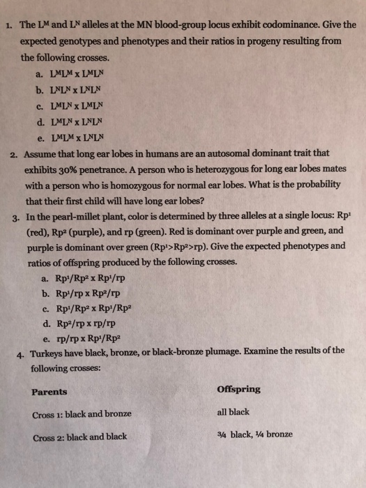 Solved 1. The LM and LN alleles at the MN blood-group locus | Chegg.com