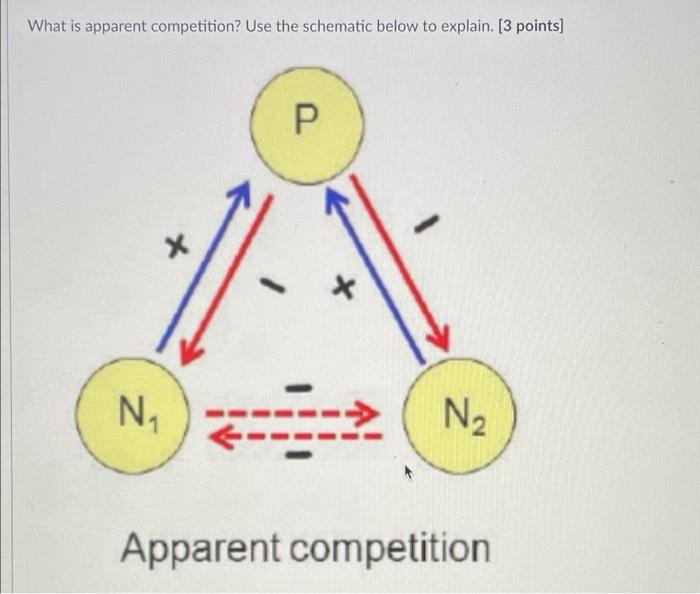 Solved What is apparent competition? Use the schematic below | Chegg.com