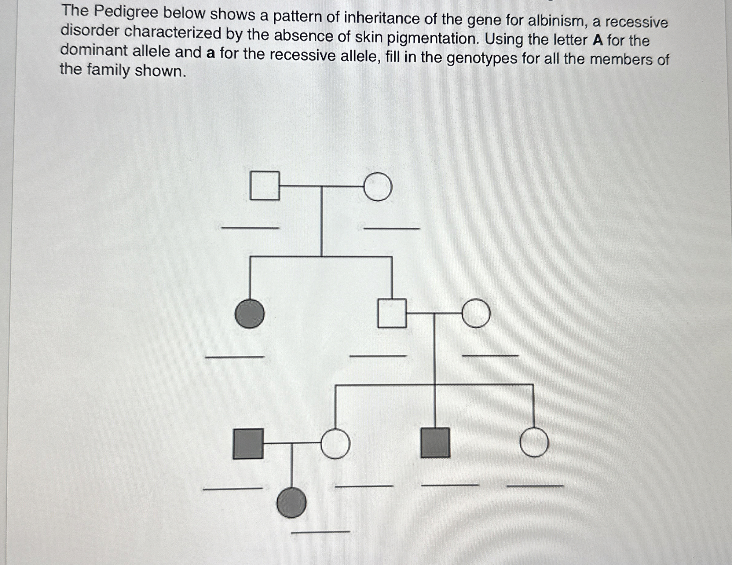 Solved The Pedigree below shows a pattern of inheritance of | Chegg.com