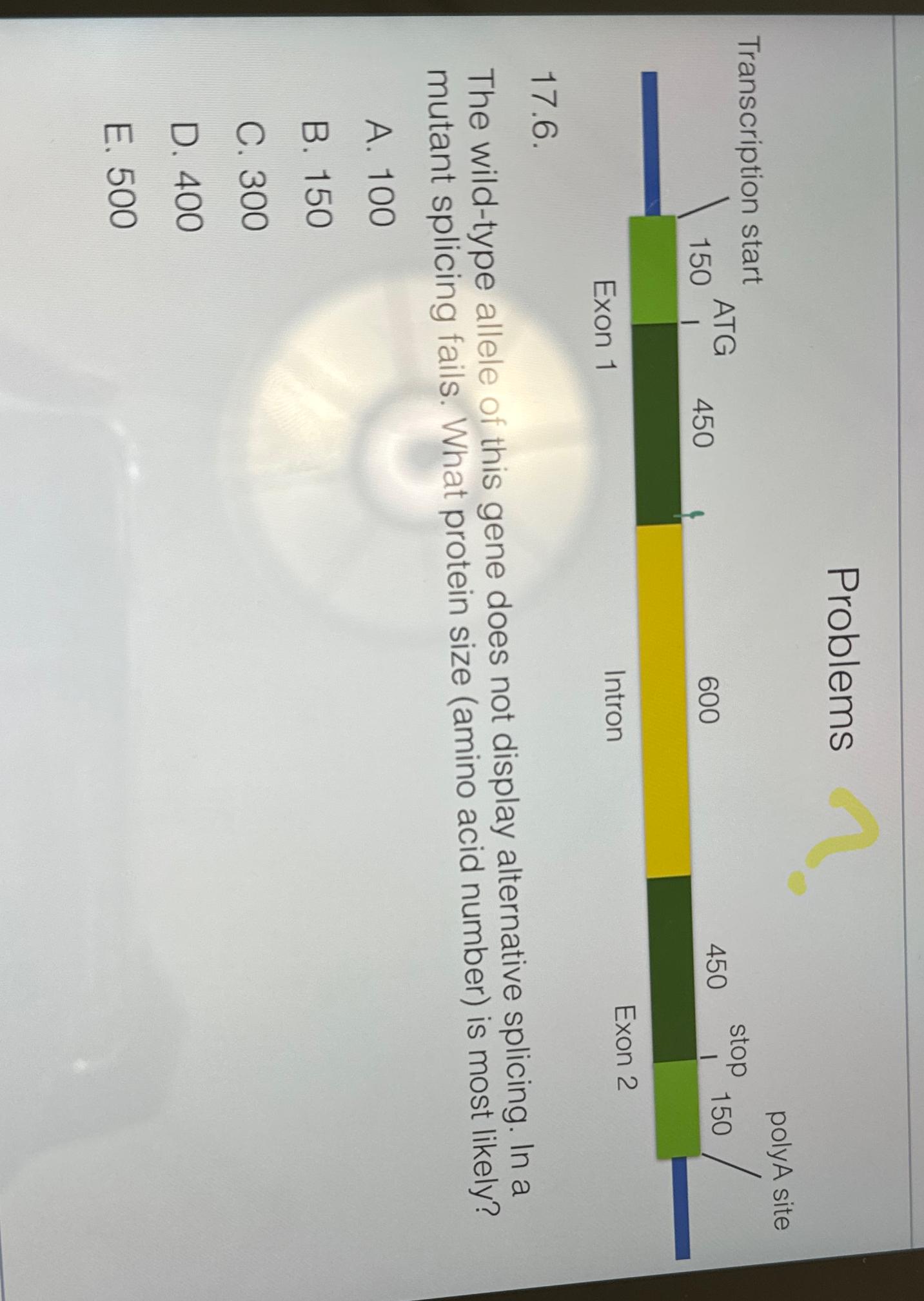 Solved Problems17.6.The wild-type allele of this gene does | Chegg.com