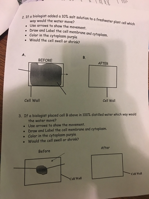 Solved st added a 10% salt solution to a freshwater plant | Chegg.com