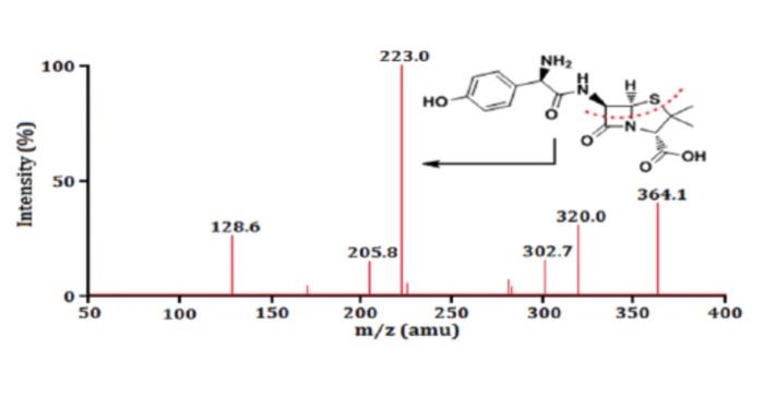 Solved Analysis of IR and Mass spectroscopy of Amoxicillin | Chegg.com