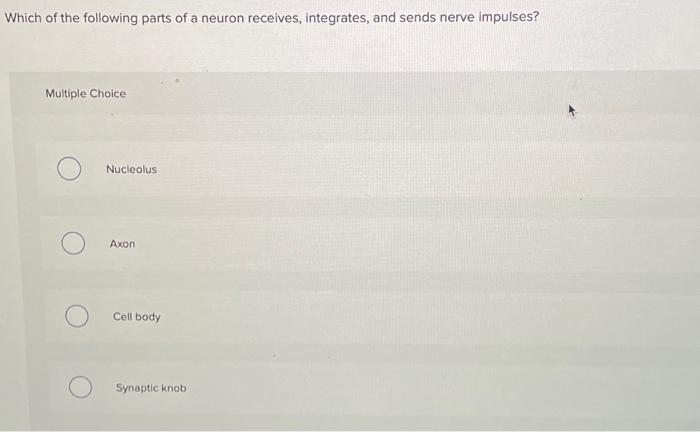 Solved Which of the following parts of a neuron receives, | Chegg.com