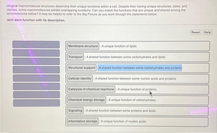 Solved iological macromolecule structures determine their | Chegg.com