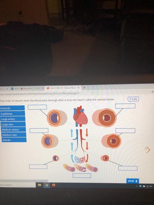 Solved What order of vessels does the blood pass through | Chegg.com