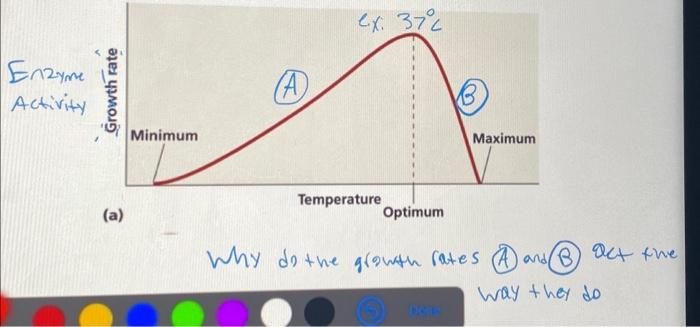 Solved Q(1)why does the curve at A and B act the way it | Chegg.com