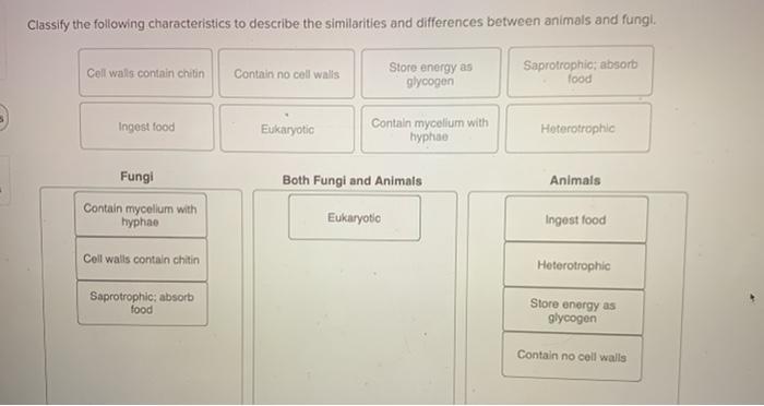 Solved Classify the following characteristics to describe | Chegg.com