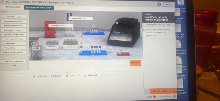 BACTERIAL GENETICS. POLYMERASE CHAIN REACTION (PC) | Chegg.com