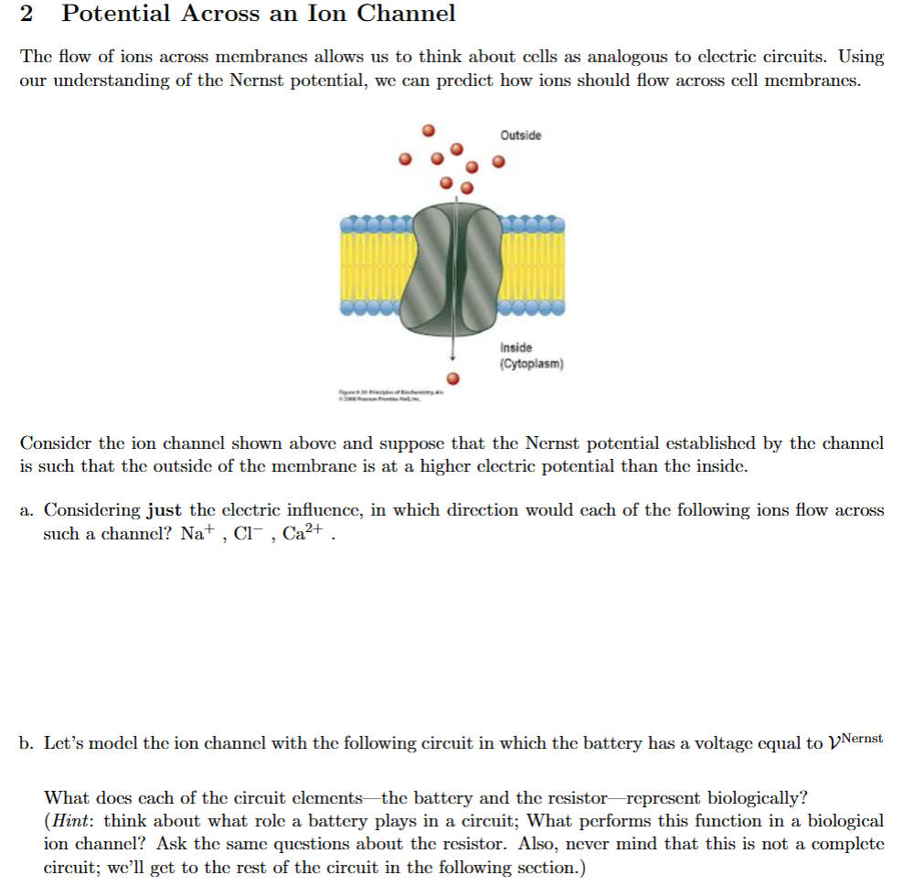 Solved The flow of ﻿ions across membranes allows us to | Chegg.com