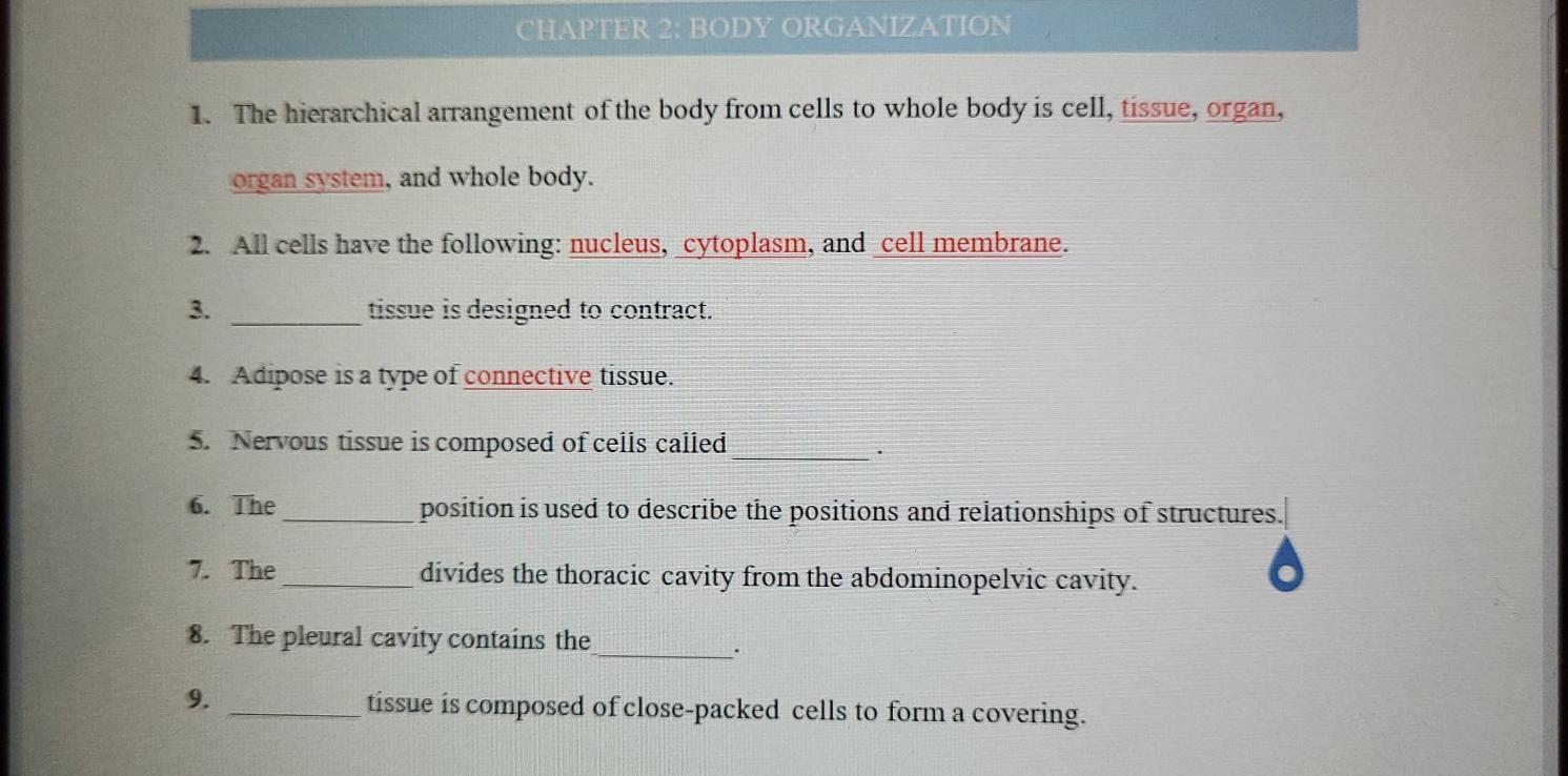 Solved CHAPTER 2: BODY ORGANIZATION 1. The hierarchical | Chegg.com