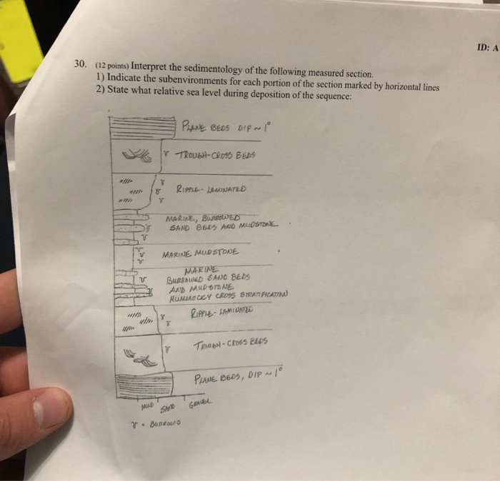 Solved hey im not very good with drawing pictures can i get | Chegg.com