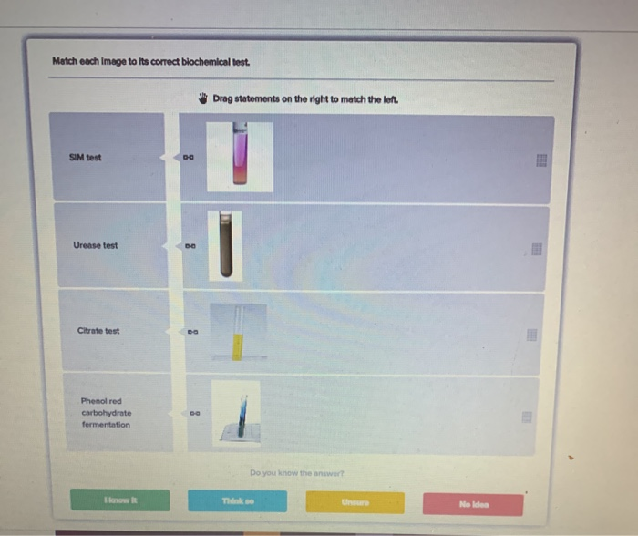 Solved Match each Image to its correct biochemical test. | Chegg.com