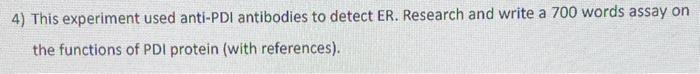 Solved 4) This experiment used anti-PDI antibodies to detect | Chegg.com