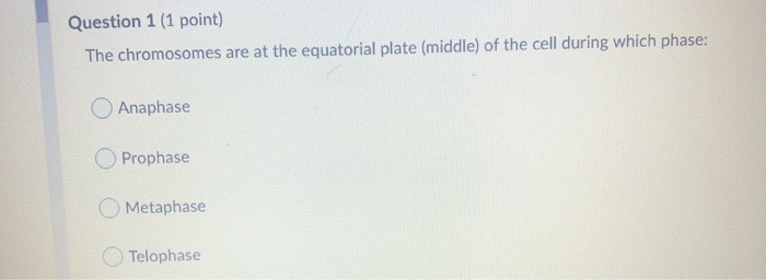 Solved Question 1 (1 point) The chromosomes are at the | Chegg.com