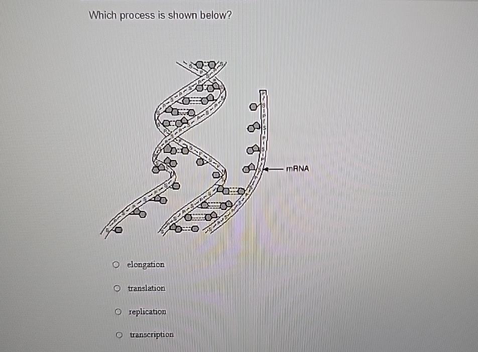 Solved Which process is shown | Chegg.com