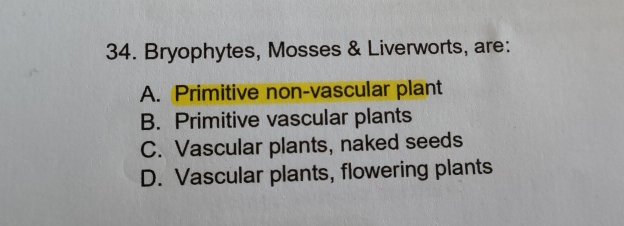 Solved Bryophytes, Mosses & Liverworts, are:A. ﻿Primitive | Chegg.com