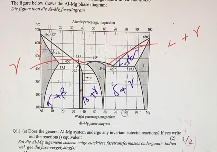 Solved The figure below shows the Al-Mg phase diagram: Die | Chegg.com