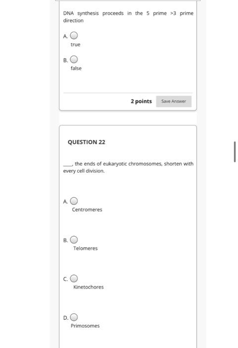 Solved DNA synthesis proceeds in the 5 prime >3 prime | Chegg.com