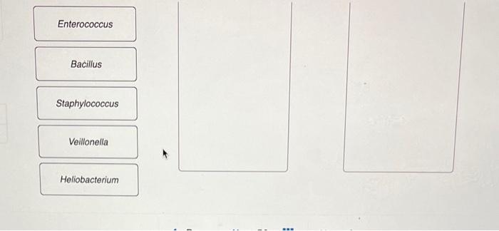 Solved Drag each genera to their corresponding taxonomic | Chegg.com
