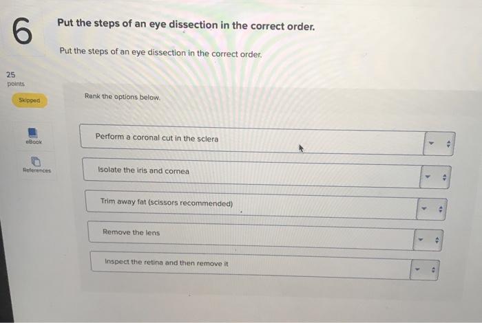 Solved 6 Put the steps of an eye dissection in the correct | Chegg.com