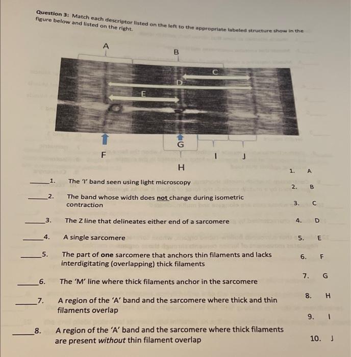 Solved Question 3: Match each descriptor listed on the left | Chegg.com