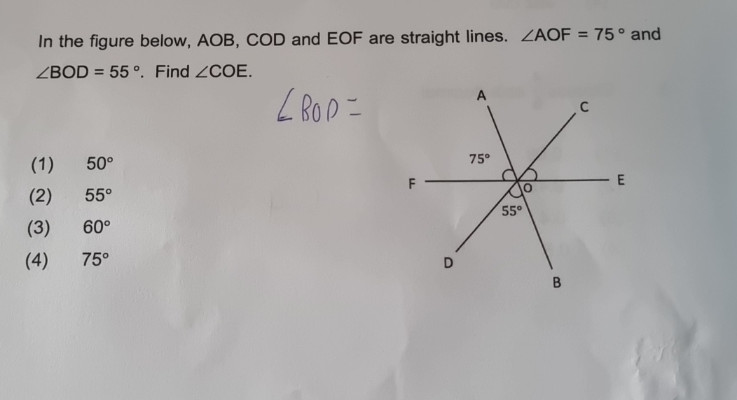Solved In the figure below, AOB,COD and EOF are straight | Chegg.com