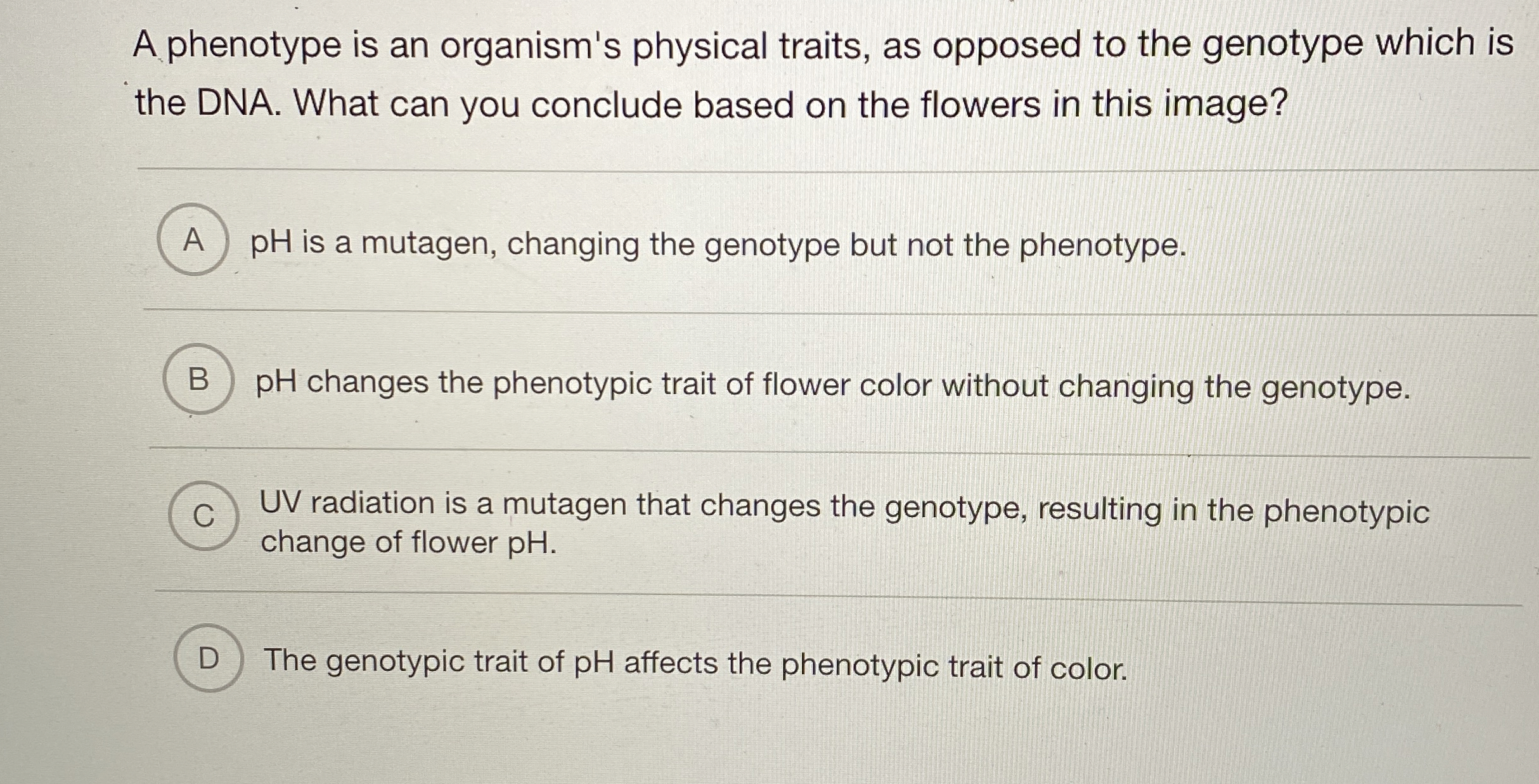 Solved A phenotype is an organism's physical traits, as | Chegg.com