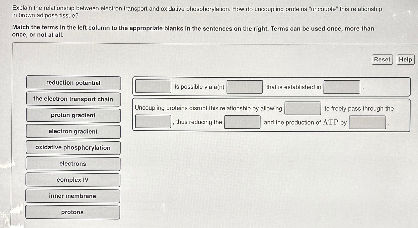 Solved Explain the relationship between electron transport | Chegg.com