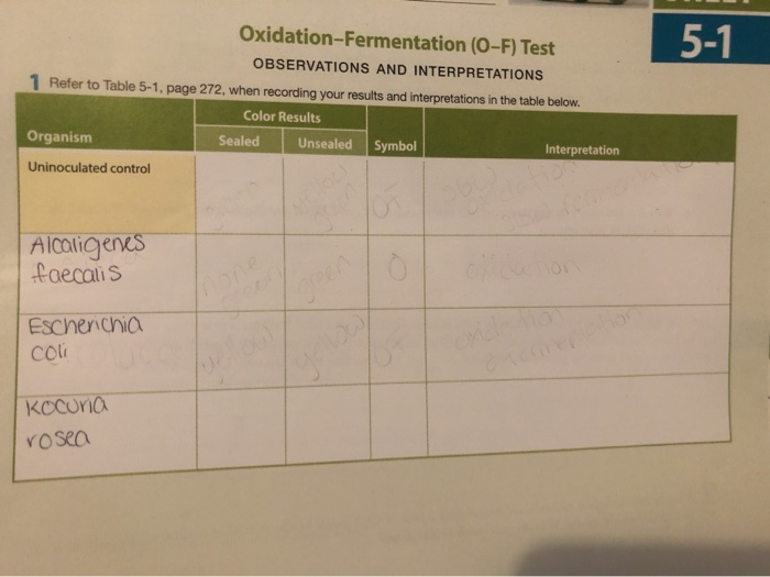 5-1 Oxidation-Fermentation (O-F) Test OBSERVATIONS | Chegg.com
