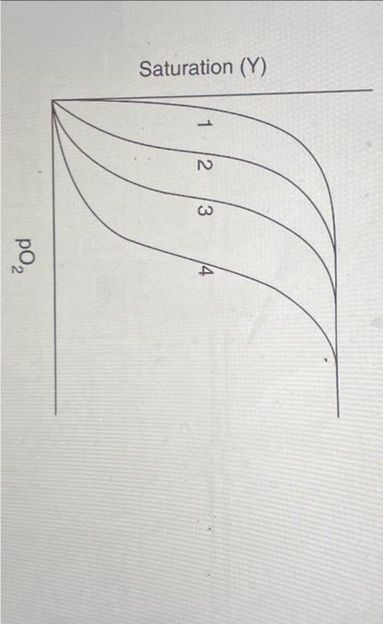 Solved 1. which of the curves depicts the protein with the | Chegg.com