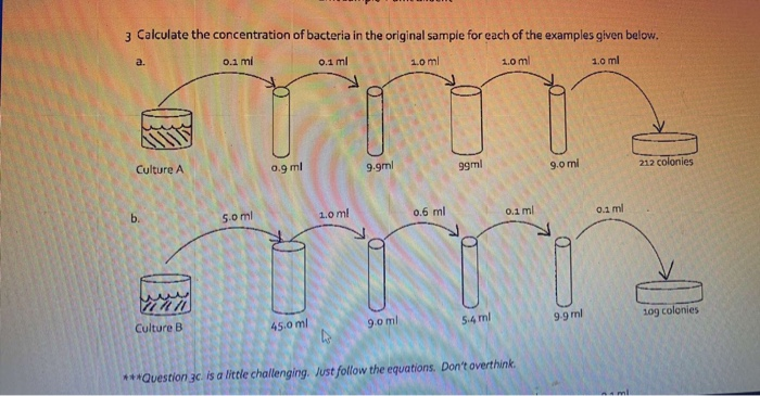 Solved 3 Calculate the concentration of bacteria in the | Chegg.com
