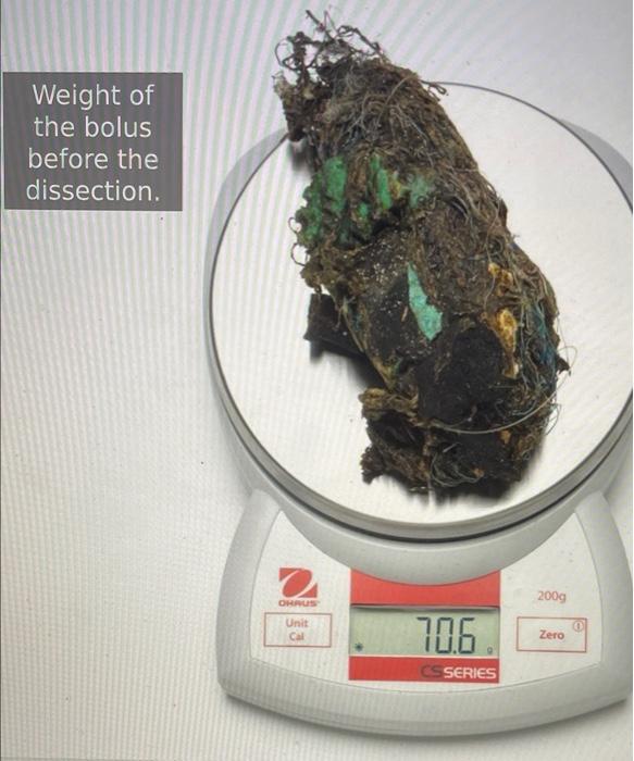 Solved View the photos to gather information regarding the | Chegg.com