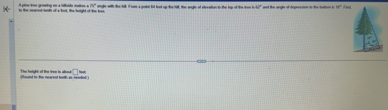 Solved by an EXPERT A pine tree growing on a hillside makes a 75° ﻿angle | Chegg.com