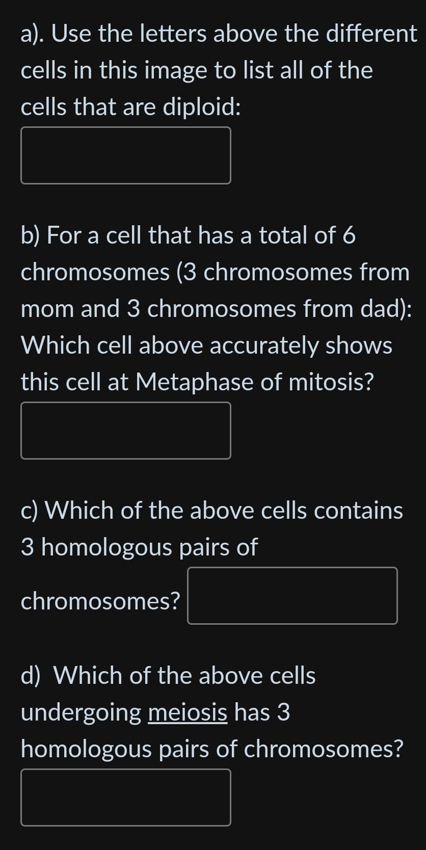 Solved Cell F a). Use the letters above the different cells | Chegg.com