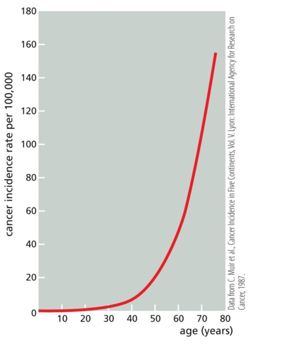 Solved 1. Consider the graph to the right displaying colon | Chegg.com
