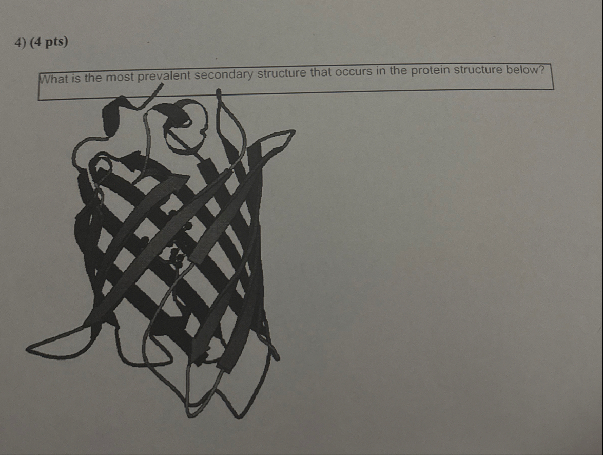 Solved What is the most prevalent secondary structure that | Chegg.com