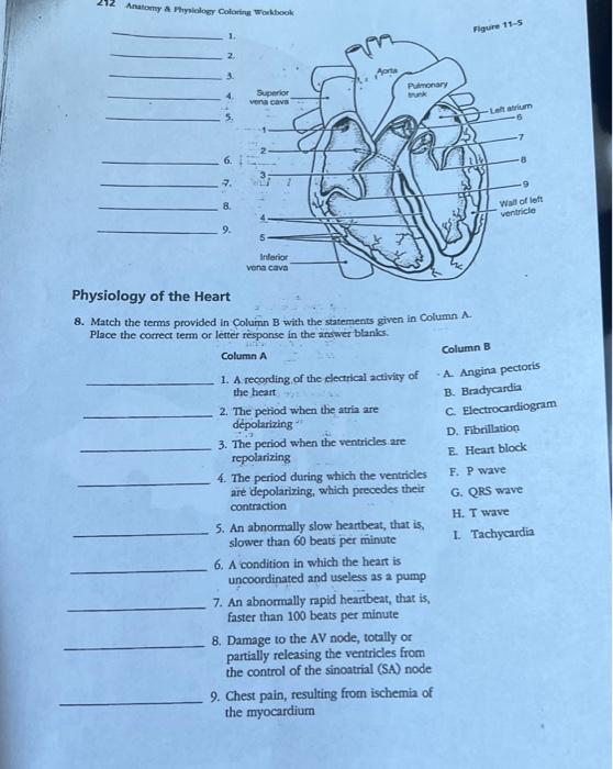 Solved help please | Chegg.com