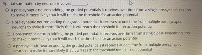 Solved Spatial summation by neurons involves O a | Chegg.com