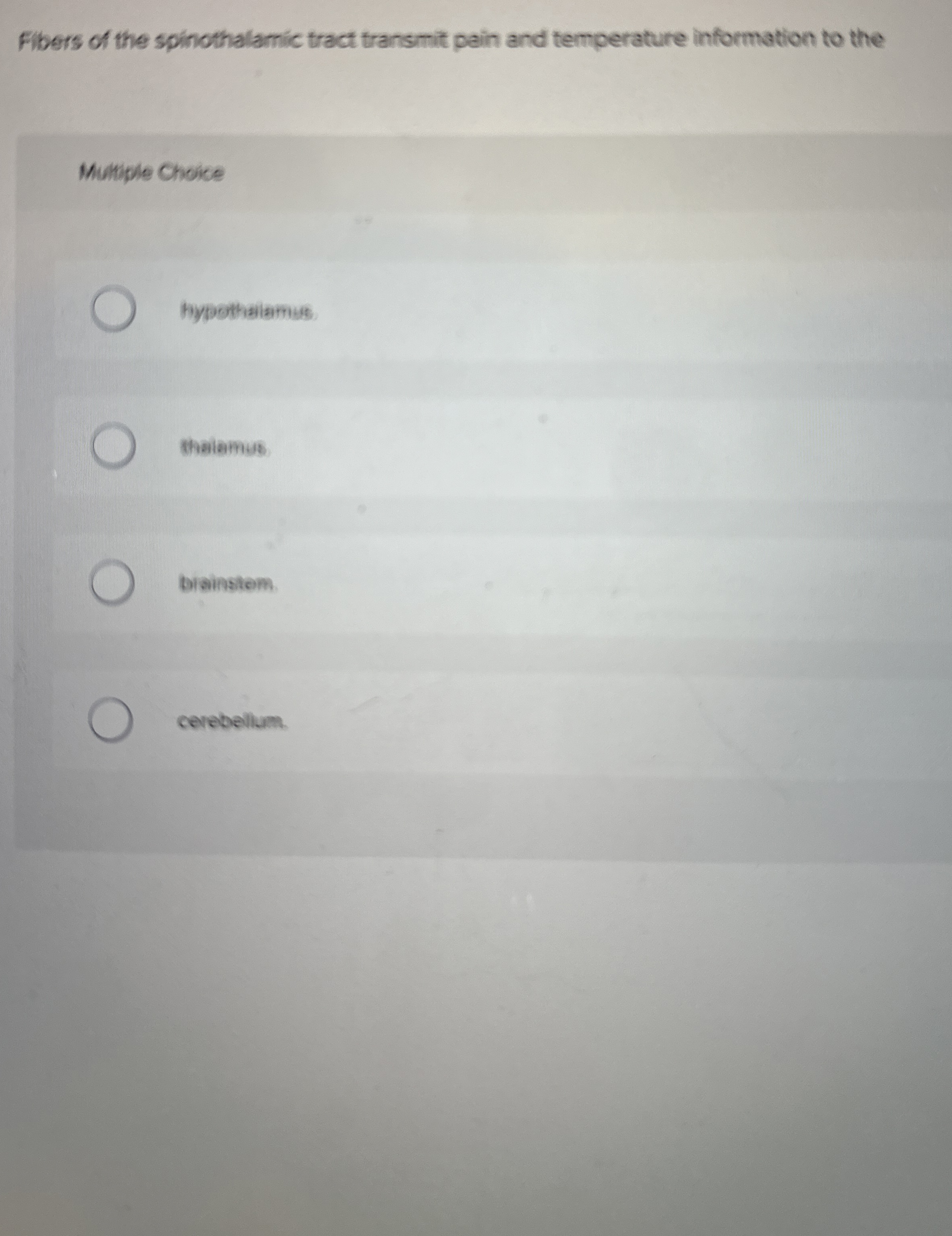 Solved Fibers of the spinothalamic tract transmit pain and | Chegg.com