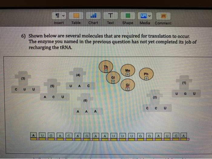 Solved T Insert Table Chart Text Shape Media Comment 6) | Chegg.com