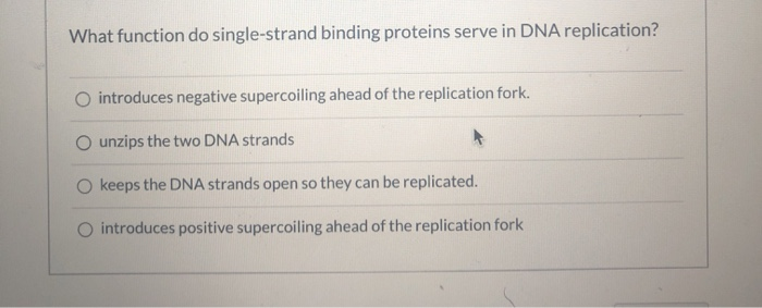Solved What function do single-strand binding proteins serve | Chegg.com