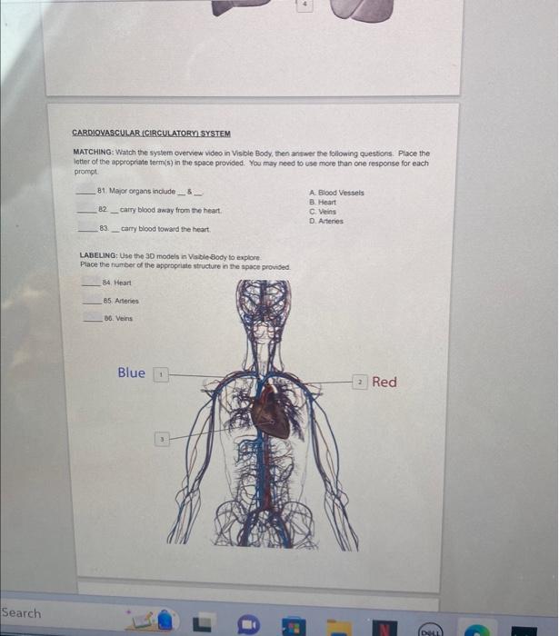 Solved RESPIRATORY SYSTEM MATCHING: Watch the system | Chegg.com