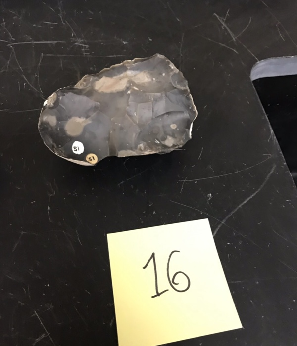 Solved Table for other Chemical and Biogenic Sedimentary | Chegg.com