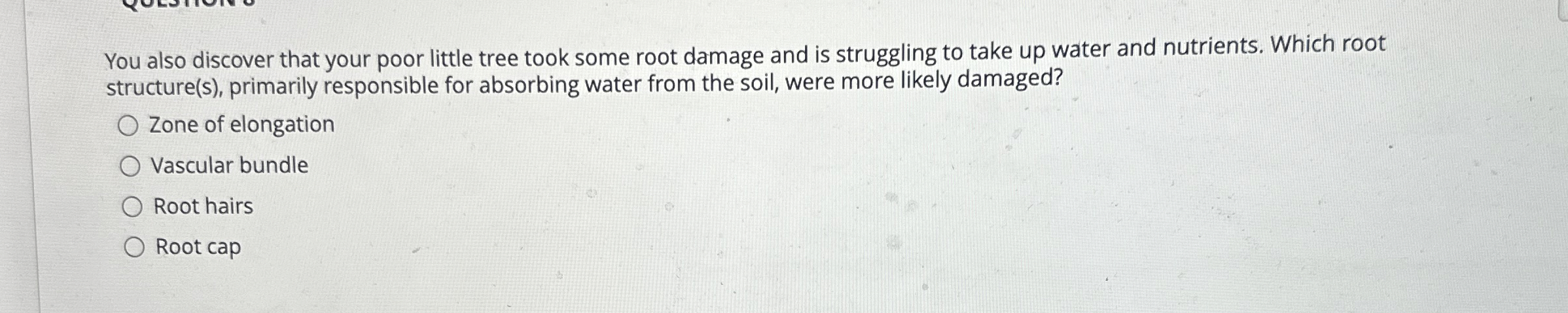 Solved You also discover that your poor little tree took | Chegg.com