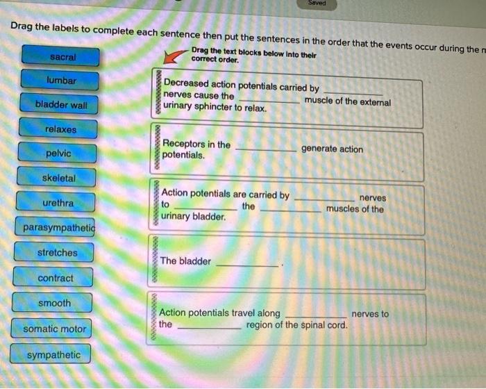 Solved Drag the labels to complete each sentence then put | Chegg.com
