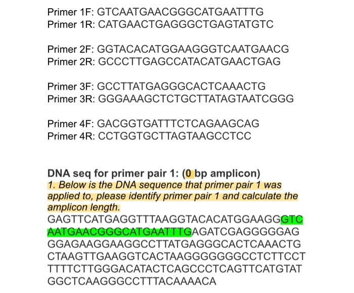 Solved 1. Below is the DNA sequence that primer pair 1 was | Chegg.com